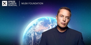 Pyronam – Restoring the Savanna Landscape