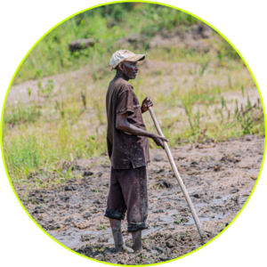 Pyronam – Restoring the Savanna Landscape